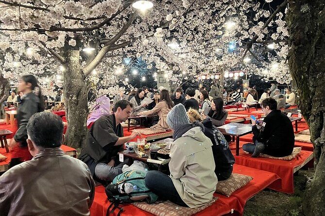 Osaka and Kyoto Private Car City Tour - What It’s Like to Experience This Tour