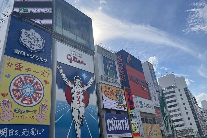 Osaka and Kyoto with National licensed guide by Private Car - Overview of the Tour Experience