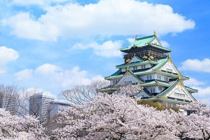 Osaka and Nara Attractive One Day private Tour - Final Thoughts