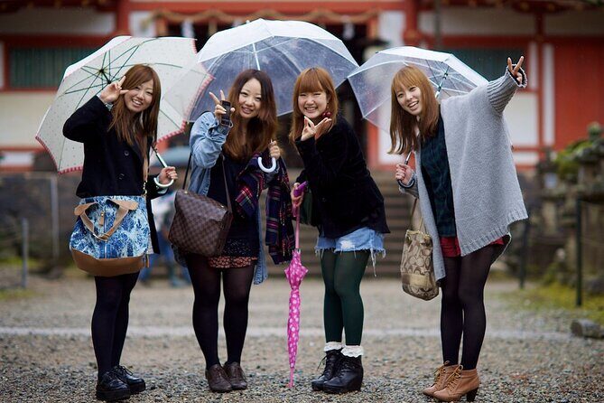 Osaka And Nara Private Car City Tour - Who Will This Tour Suit Best?