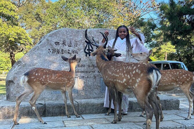 Osaka and Nara Private Car Tour with English Guide and Driver - An In-Depth Look at the Tour Itinerary