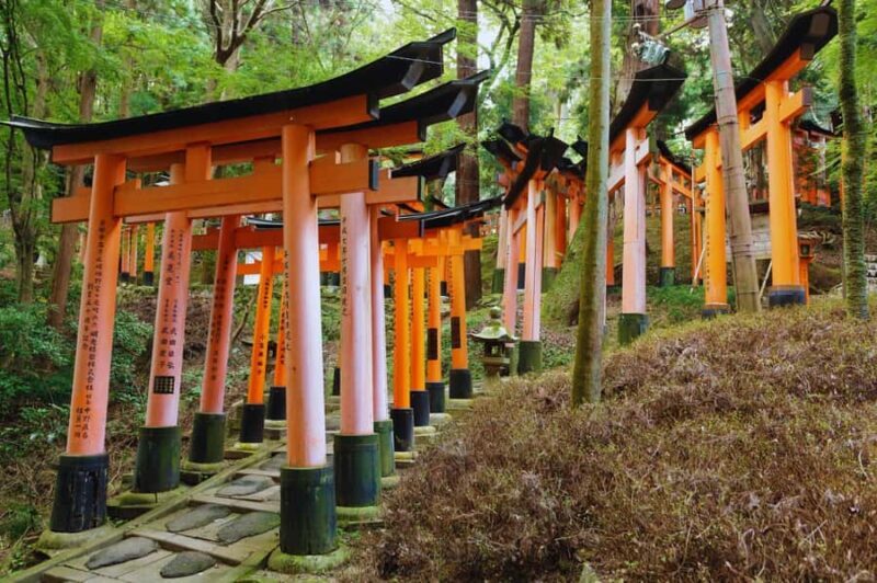 Osaka: Arashiyama Train, Fushimi Inari & Katsuo-ji Day Tour - Who Will Enjoy This Tour?