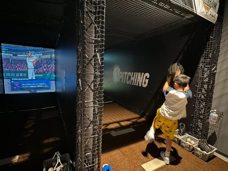 Osaka: Baseball Pilgrimage  Guided Tour of Iconic Koshien - Who Will Love This Tour?