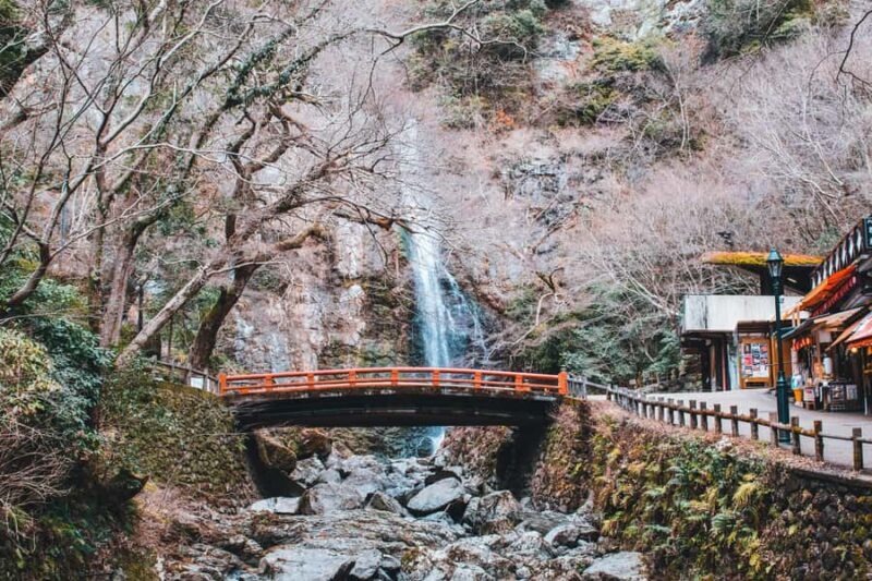Osaka: Bespoke Minoh Waterfall & Sacred Forest Discovery - An In-Depth Look at the Minoh Waterfall & Sacred Forest Tour