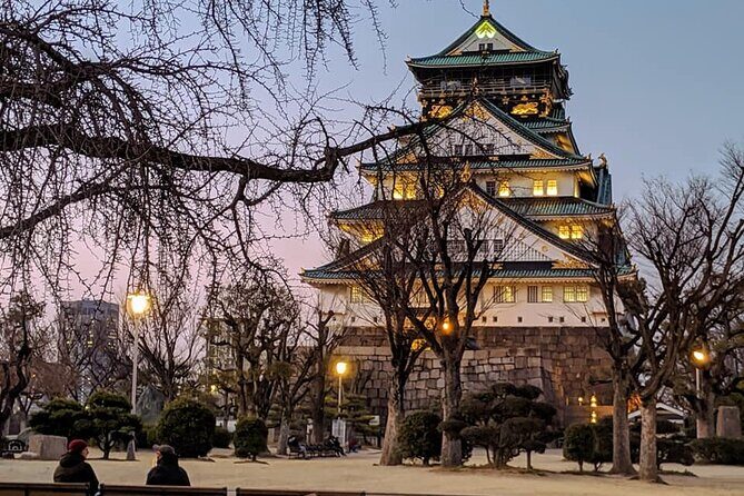 Osaka Bites & Sights Private Lunch Tour in Dotonbori & Namba - FAQ