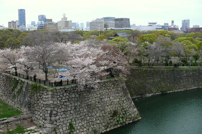 Osaka Castle 3 Hours Historical Walking Tour - An Introduction to the Experience