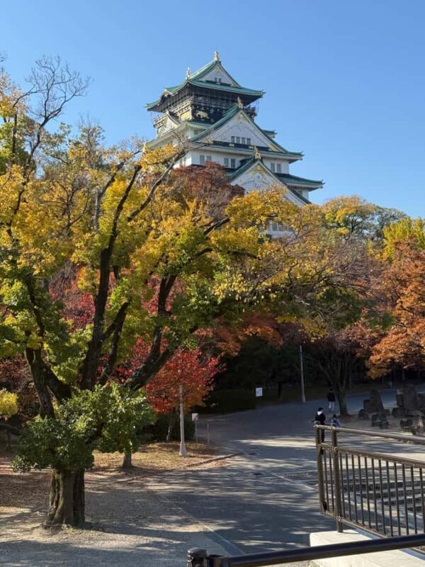 Osaka Castle: A Guided Historical Tour of the Interior and Gardens - A Closer Look at the Experience
