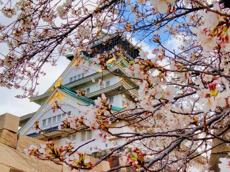 Osaka Castle & Temples Walk Tour + Multilingual Audio Guide - Key Points