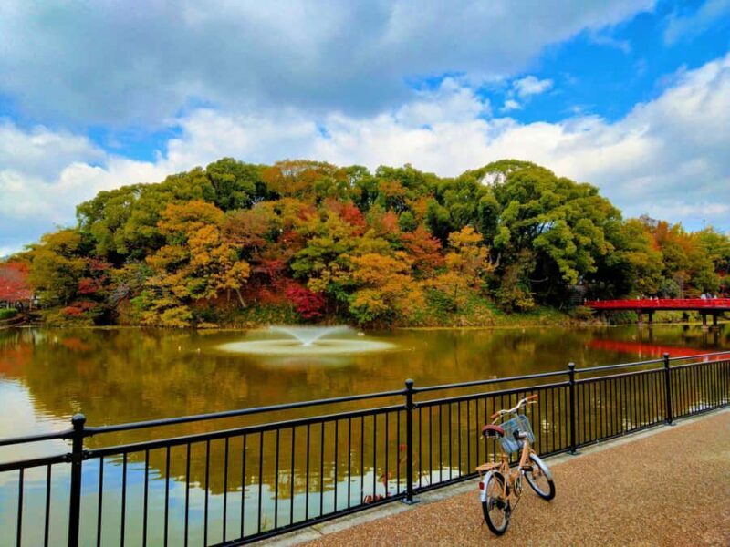Osaka Castle & Temples Walk Tour + Multilingual Audio Guide - Is It Worth the Price?