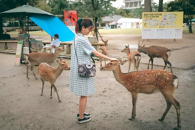 Osaka Castle to Nara Deer Park Group Day Tour by Car and Guide - Key Points