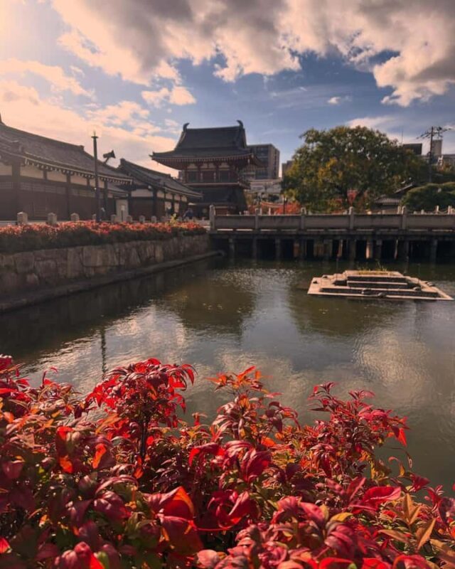 Osaka: Check out the must-see places. - Who Will Love This Tour?