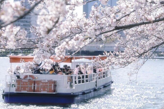 Osaka Cherry Blossom Tour with a Local: 100% Personalized Private - Analyzing the Cost and Value