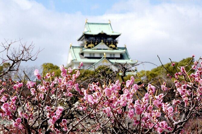 Osaka Cherry Blossom Tour with a Local: 100% Personalized Private - Who This Tour is Best For