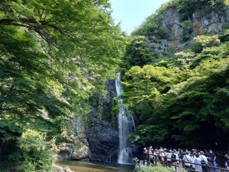 Osaka: Cherry Blossoms Tunnel & Uji day trip in small group - FAQ