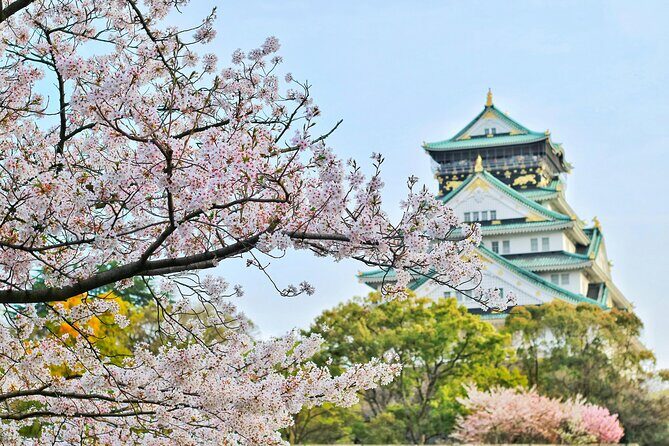 Osaka City Cherry Blossom Private Sightseeing Tour - What’s Included and What’s Not