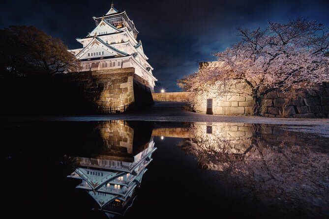 Osaka City Cherry Blossom Private Sightseeing Tour - Who Should Consider This Tour?