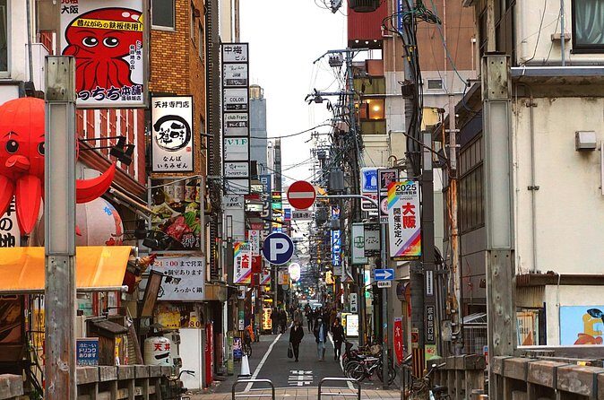 Osaka City Cherry Blossom Private Sightseeing Tour - Final Thoughts