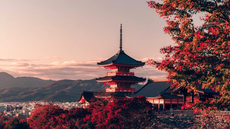 Osaka City English Private Tour Hotel Pickup Sightseeing - FAQs