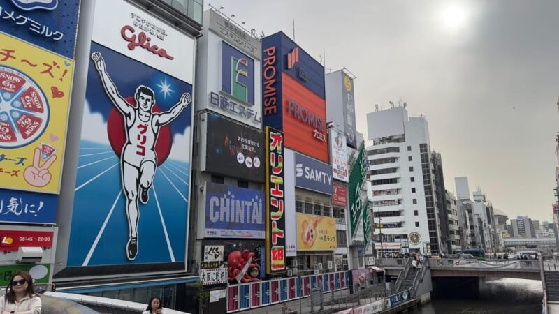 Osaka City Highlights One Day Private Tour - Transportation and Comfort