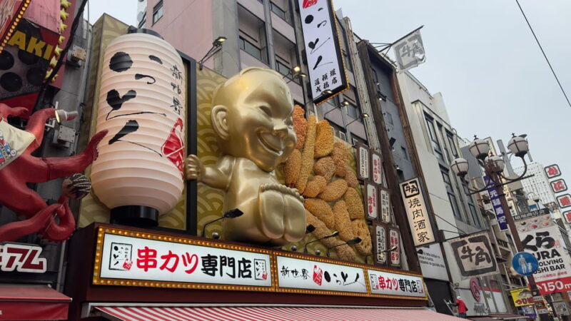 Osaka City Highlights One Day Private Tour - Is it Worth the Price?