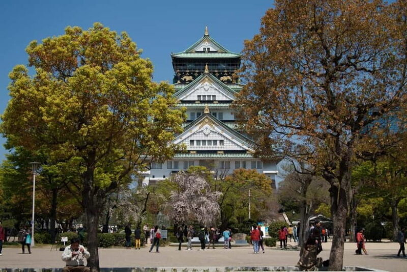 Osaka: Customizable Private Tour with Local Guide - An In-Depth Look at the Customizable Osaka Experience