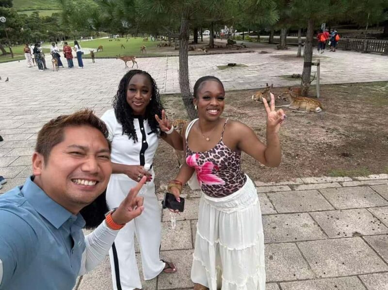 Osaka Day Trip by Private CarHotel Pickup & English Driver - Key Points