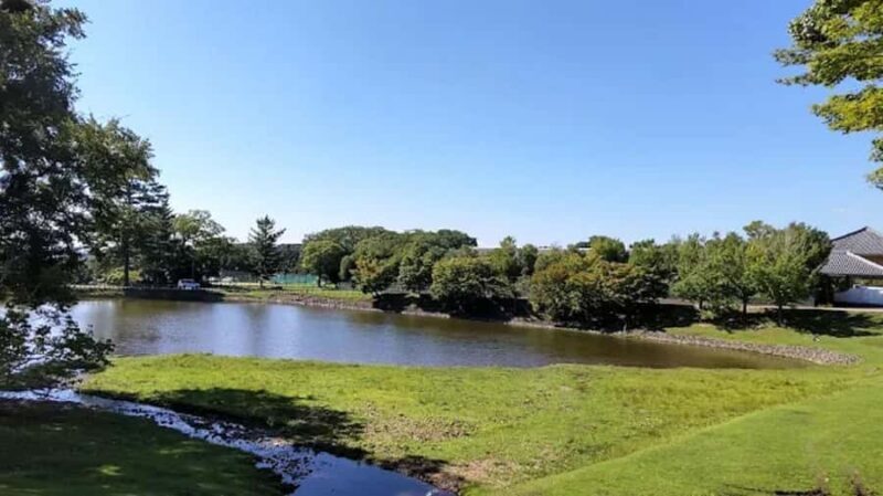 Osaka: Discovering Nara Timeless Grace Guided Tour - Unpacking the Itinerary: What to Expect