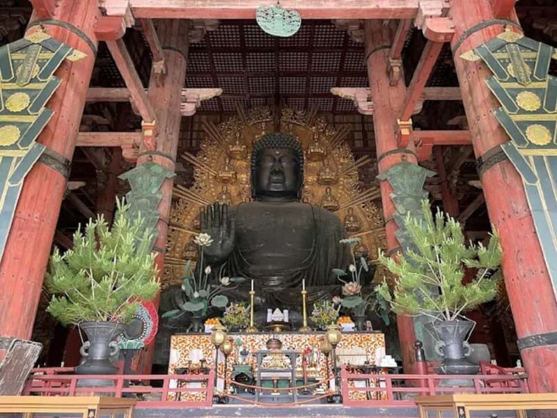 Osaka: Discovering Nara Timeless Grace Guided Tour - Cost and Value