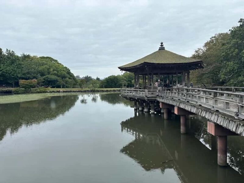 Osaka: Discovering Nara Timeless Grace Guided Tour - FAQ