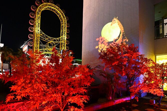 Osaka Dotonbori: Giraffe Nightclub VIP Package(For Foreign) - The Sum Up