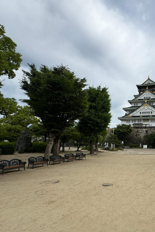 Osaka: Early Morning Osaka Castle Guided Tour, Avoid Crowds - Who Will Enjoy This Tour?