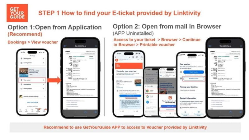 Osaka: Expo 2025 Admission Ticket - Key Points