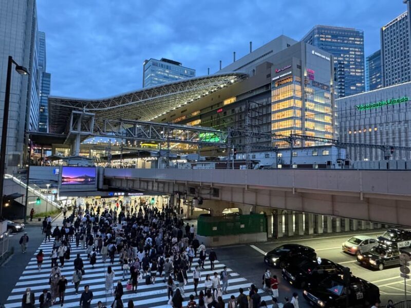 Osaka: Food & Bar Hopping Tour - Who Should Consider This Tour?