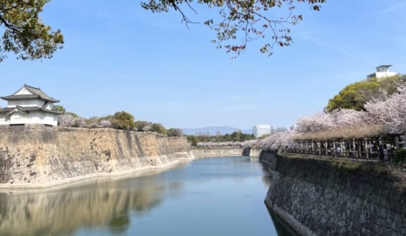 Osaka: Full-Day City Tour with a Guide and Public Transport - Why Choose This Tour?