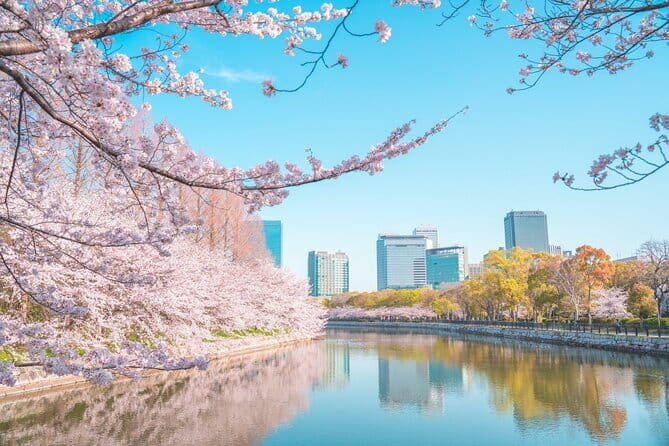 Osaka full day Private Customizable Tour - Key Points