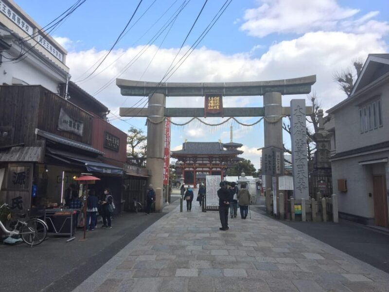 Osaka: Full-Day Private Guided Tour of the Historical City - Traveler Experience and Feedback