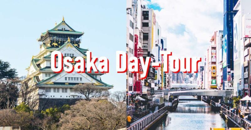 Osaka: Full-Day Private Guided Walking Tour - Key Points