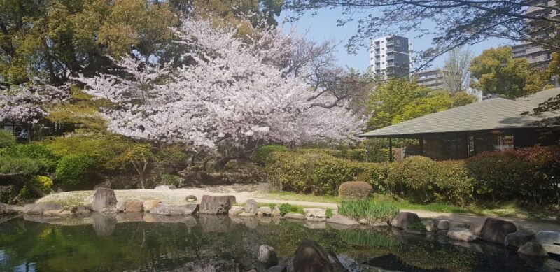 Osaka: Full-Day Sightseeing Tour by Private Vehicle - Value for Money and Overall Experience