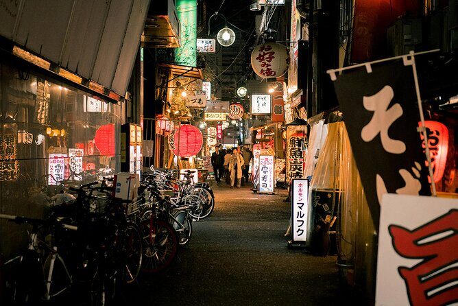 Osaka Full Day Walking Tour with Local Expert Guide - Who Should Consider This Tour?