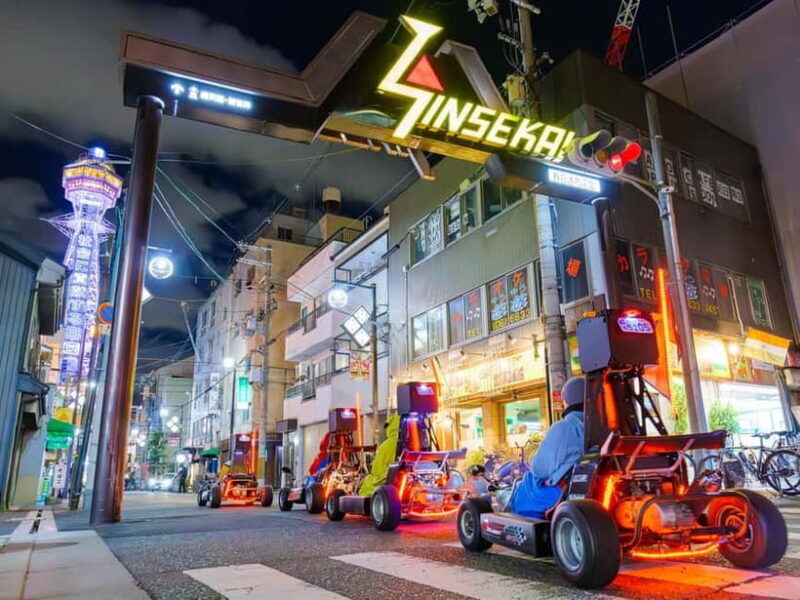 Osaka: Guided Go Karting Tour in a Funny Costume - The Cost and What You Get