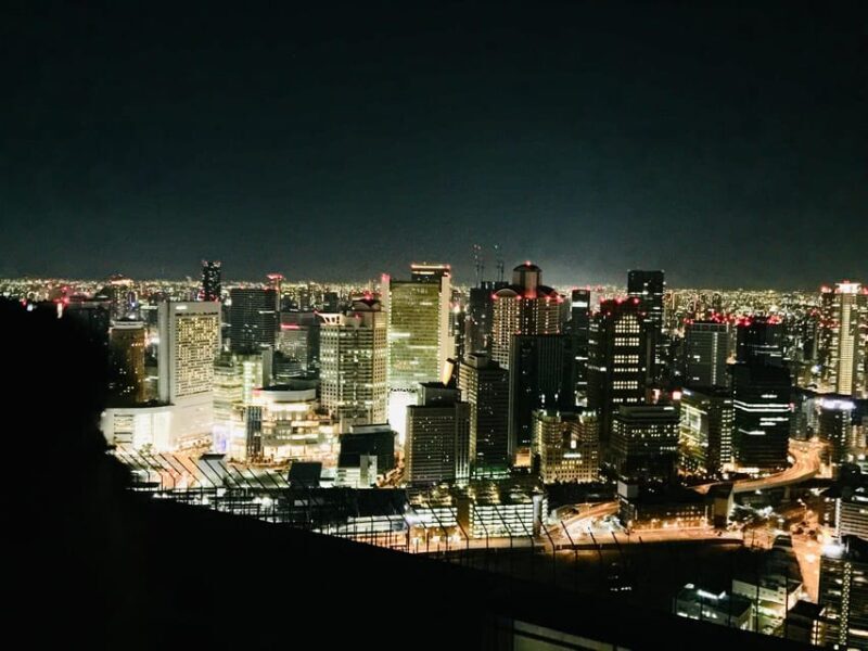 Osaka: Half-Day Private Guided Tour of Kita Modern City - An Introduction to Osaka’s Modern Core