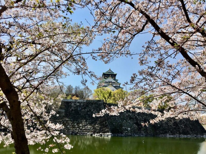 Osaka: Half-Day Private Guided Tour of the Castle - The Experience and Its Value