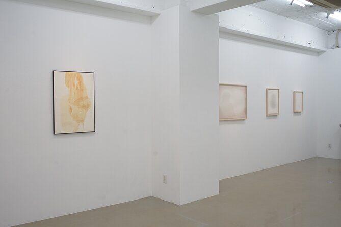 Osaka Hidden Art Gallery and Local Lunch Tour - The Practical Side