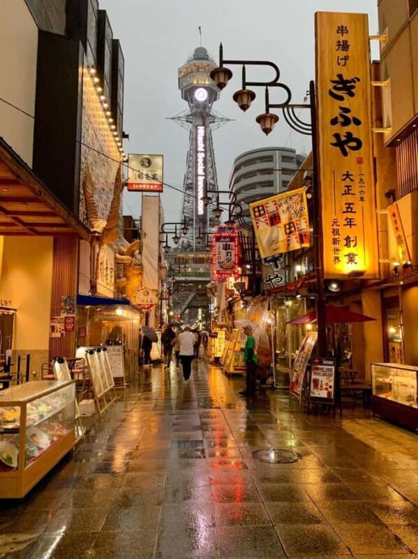 Osaka: History, Architecture & River Vistas Private tour - A Detailed Look at What to Expect