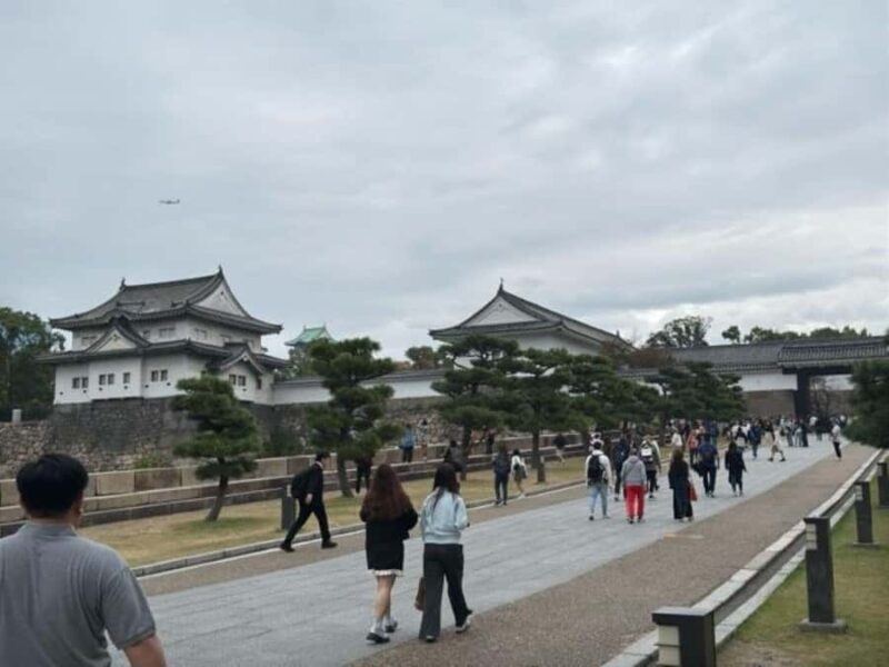 Osaka: History, Architecture & River Vistas Private tour - Overall Value