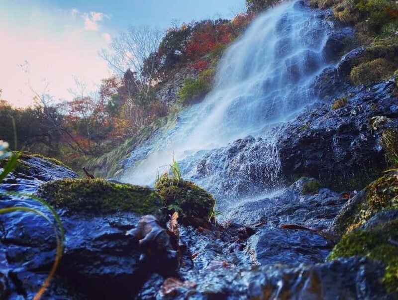 Osaka: Hyogo Day Trip with Ritsunkyo Gorge & Izushi - Introduction to the Tour