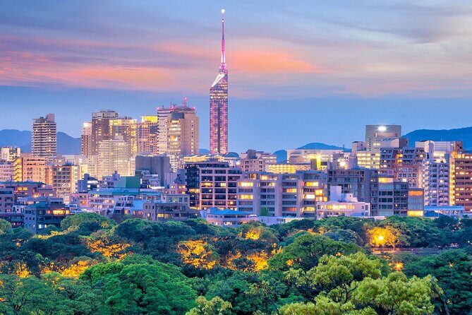 Osaka Kansai Airport to Fukuoka City Private Transfer - The Journey: What to Expect