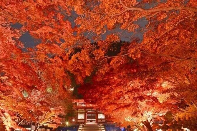 Osaka Katsuo-ji Temple Natural Attraction Ticket - Value for Money