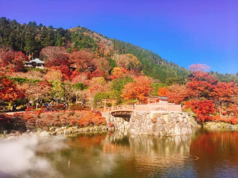 Osaka: Katsuo-ji Temple with Hundreds of Daruma Figures - The Visual Impact of Daruma Dolls