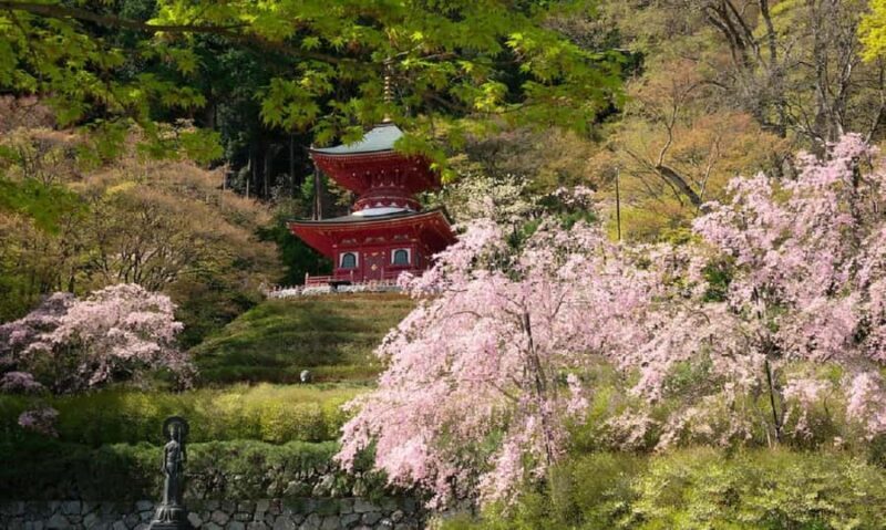 Osaka: Katsuoji Temple Guided Tour with Bus Transfer - An Introduction to the Katsuoji Temple Guided Tour